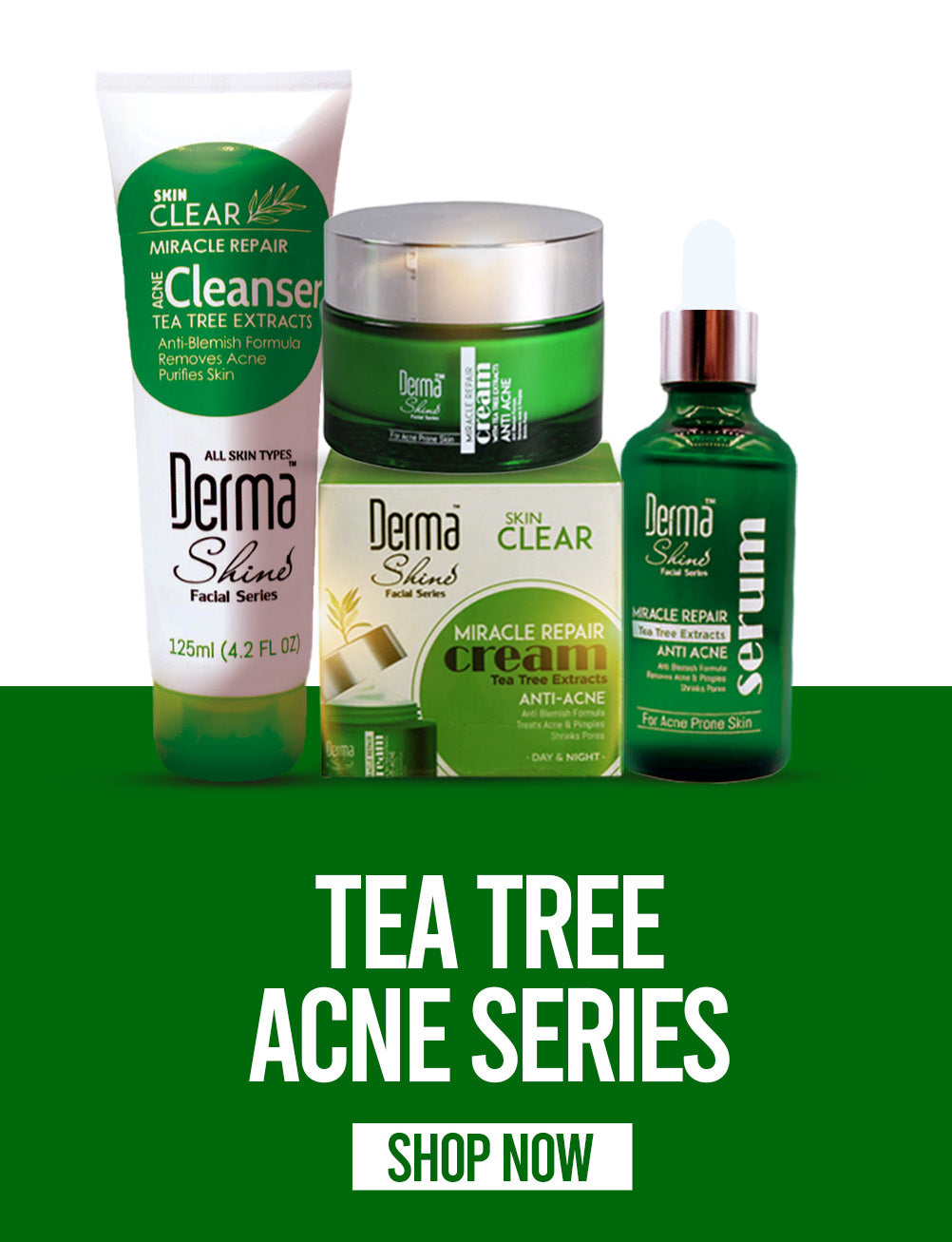 Derma Shine Tea Tree – Lipcara